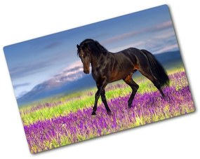 Wallmuralia Kuchyňská deska skleněná Kůň na poli levandule 80x52 cm
