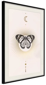 Plakát Tajemství motýla - černo-bílý hmyz na pozadí růžové a zlatého slunce