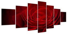 Obraz červené růže (210x100 cm)