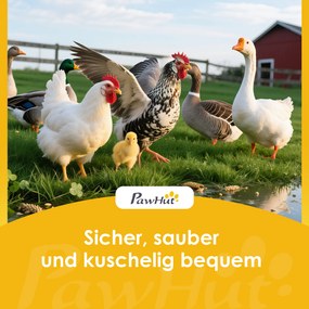 Kurník Kurník s výběhem Hnízdní box Výsuvná vanička Asfaltová střecha pro 4 slepice 200x104x145cm Dřevo Hnědá barva