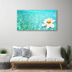 Obraz na plátně Voda Květ Umění 125x50 cm