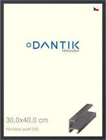 DANTIK rámeček 30x40 | ALU profil 6220 Černá matná (Plexi Čiré)