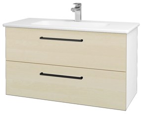 Dřevojas Koupelnová skříň GIO SZZ2 100 Varianta: N01 Bílá lesk / Úchytka T06 / D02 Bříza