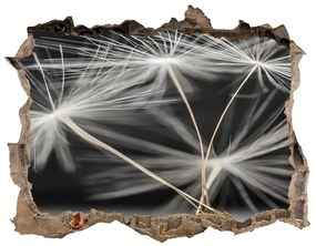 Wallmuralia Samolepící díra nálepka Semena pampelišky 95x64 cm