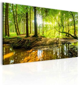 Obraz lesní úsvit Velikost (šířka x výška): 150x100 cm