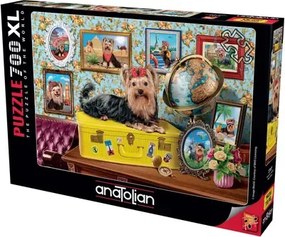 ANATOLIAN Puzzle Jorkšírský teriér XL / 700 dílků / od 12 let