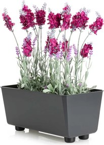 Truhlík s nožičkami Salvia 28,5x17 cm - výběr z 8 provedení
