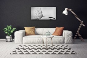 Obraz na plátně Pampeliška Semínka 140x70 cm
