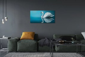 Obrazy na plátně Swan ve vodě 125x50 cm