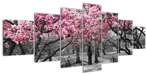 Obraz stromů Magnolíie (210x100 cm)