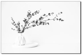 Obraz na plátně - Větev eukalyptu v bílé váze na bílém pozadí 1272QA (75x50 cm)
