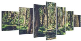 Obraz cesty mezi stromy (210x100 cm)