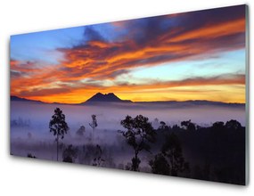 akrylový obraz Stromy Mlha Krajina 125x50 cm