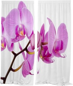 IMPAR Závěsy Růžová orchidej (Rozměr : 140x250, Materiál: Interlock)