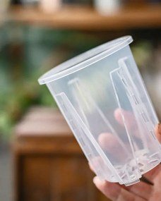 PlantScraper Transparentní květináč pro aroidy 16cm