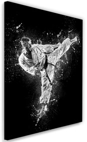 Gario Obraz na plátně Karate - Cornel Vlad Rozměry: 40 x 60 cm
