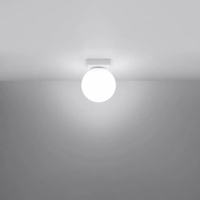 Sollux Lighting Stropní svítidlo YOLI 1 bílé