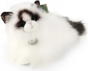 RAPPA Plyšová kočka ragdoll 38 cm / ECO-FRIENDLY / od 0 měsíců