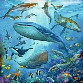 Ravensburger 051496 Zvířata z oceánu 3 x 49 dílků / od 5 let