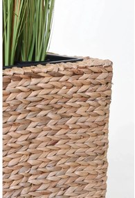 Květináč ASIA, vodní hyacint, výška 80 cm, natur