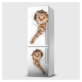 E-shop24, Pi51SL839, Rozměr 65x180 cm, Fototapeta samolepící na lednice - Kočky