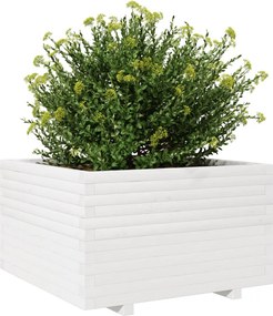 Zahradní truhlík bílý 80 x 80 x 49,5 cm masivní borové dřevo 3282530