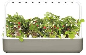 Click and Grow Chytrý květináč Click & Grow Smart Garden 9, béžová