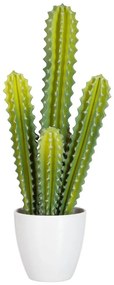 Okrasný kaktus v květináči - 20*15*50cm
