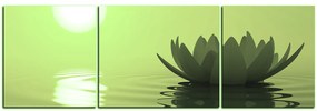 Obraz na plátně - Zen lotus - panoráma 5167ZC (120x40 cm)