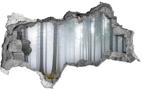 Wallmuralia Nálepka fototapeta 3D výhled Mlha v lese 95x73 cm