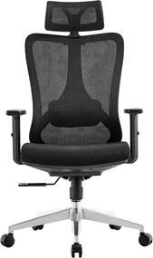 ERGODO Ergonomická kancelářská židle TALVEN - černá síťovina / nosnost 150 kg