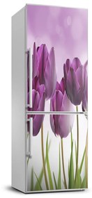 Wallmuralia Nálepka fototapeta Fialové tulipány 60x180 cm