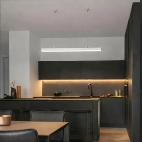 Brilagi - LED Závěs. svít. FULLDAY LED/20/30/40W/230V 2700/4000/6000K 120cm bílá