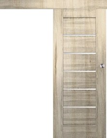 posuvné interiérové dveře na stěnu vasco doors IBIZA model 6 Průchozí rozměr: 70 x 197 cm, Orientace dveří: Levé dveře, Dekor: Dub stříbrný