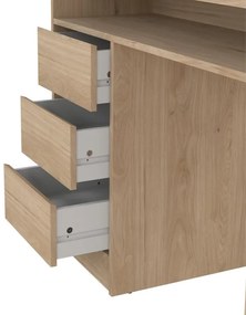 FALCO Psací stůl Function Plus 70491 jackson hickory