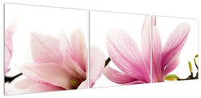 Obraz květu (150x50 cm)