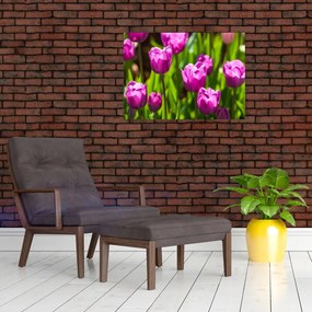 Skleněný obraz tulipánů na louce (70x50 cm)