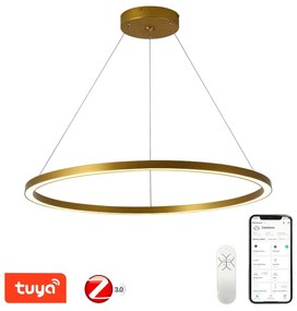 Závěsné svítidlo smart Tuya FINO LED 60W, TUYA-Z - 07159-G80 - Immax
