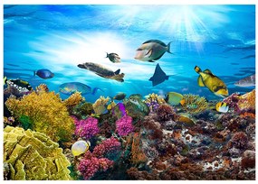 Samolepící fototapeta - Korálový útes 147x105