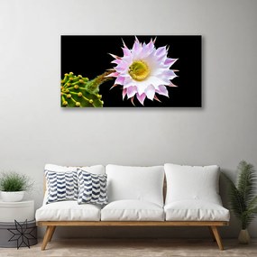 Obraz na plátně Květ 100x50 cm
