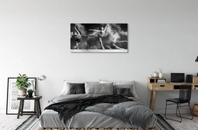 Obrazy na plátně Dámská Baleríny kouř 125x50 cm