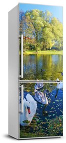 Wallmuralia Foto tapeta na ledničku Labutě na jezeře XL 60x180 cm