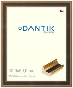 DANTIK rámeček 40x50 | TOOTH malá zlato černá (Plexi Čiré)