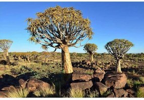 Vliesové fototapety na zeď Namibie | MS-5-0103 | 375x250 cm