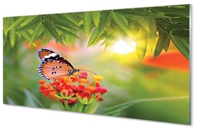 Obraz na skle Barevný motýl květiny 100x50 cm