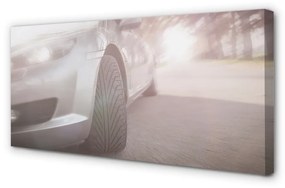 Obrazy na plátně Stříbrné auto street tree 120x60 cm