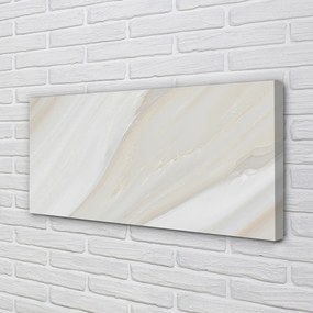 Obrazy na plátně Marble kamenná zeď 120x60 cm