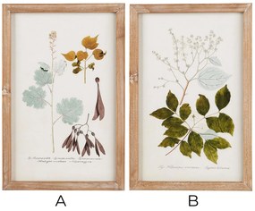 IB LAURSEN Obraz v rámu Plant Motifs 25 x 38 cm B, béžová barva, přírodní barva, sklo, dřevo, papír