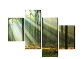 Vícedílný obraz Lesní Krajina V Dopoledních Hodinách Nedostatek Nedostatek Plátno Canvas 120x75