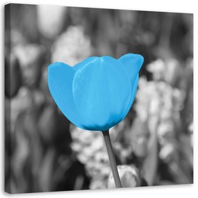 Gario Obraz na plátně Modrý tulipán Rozměry: 30 x 30 cm